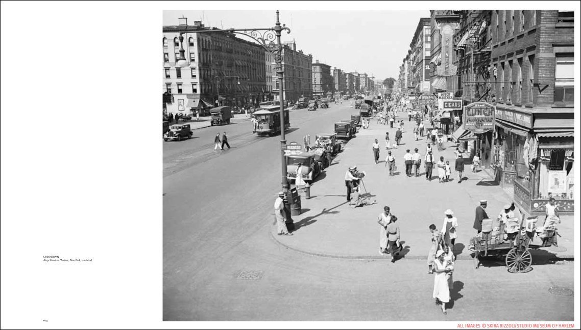 Harlem: A Century in Images: Winner of the 2010 Photography Award from ...