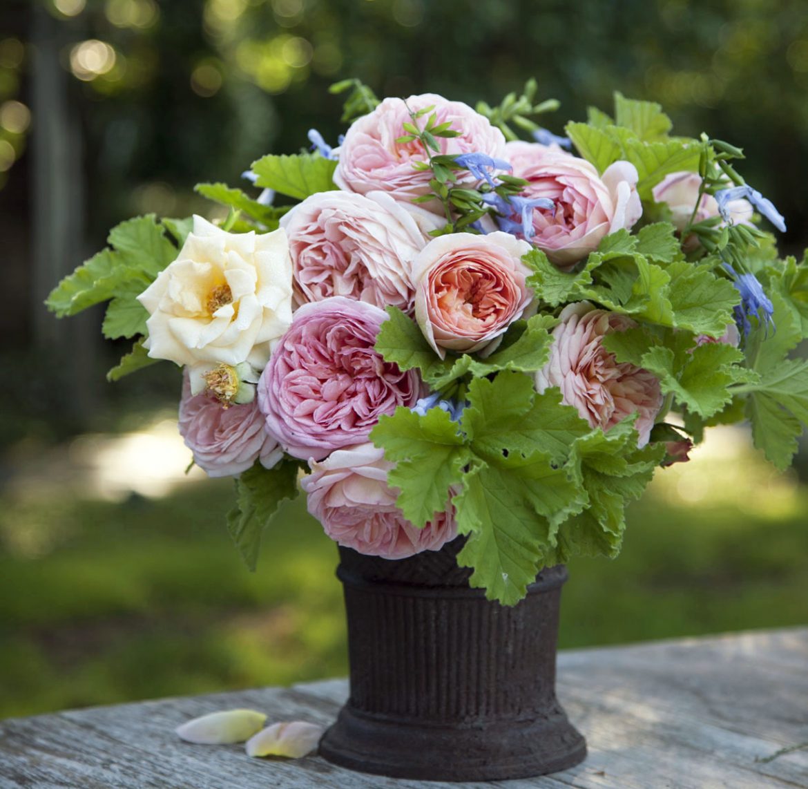 Tips for Spring & Summer: In the Garden - Rizzoli New York