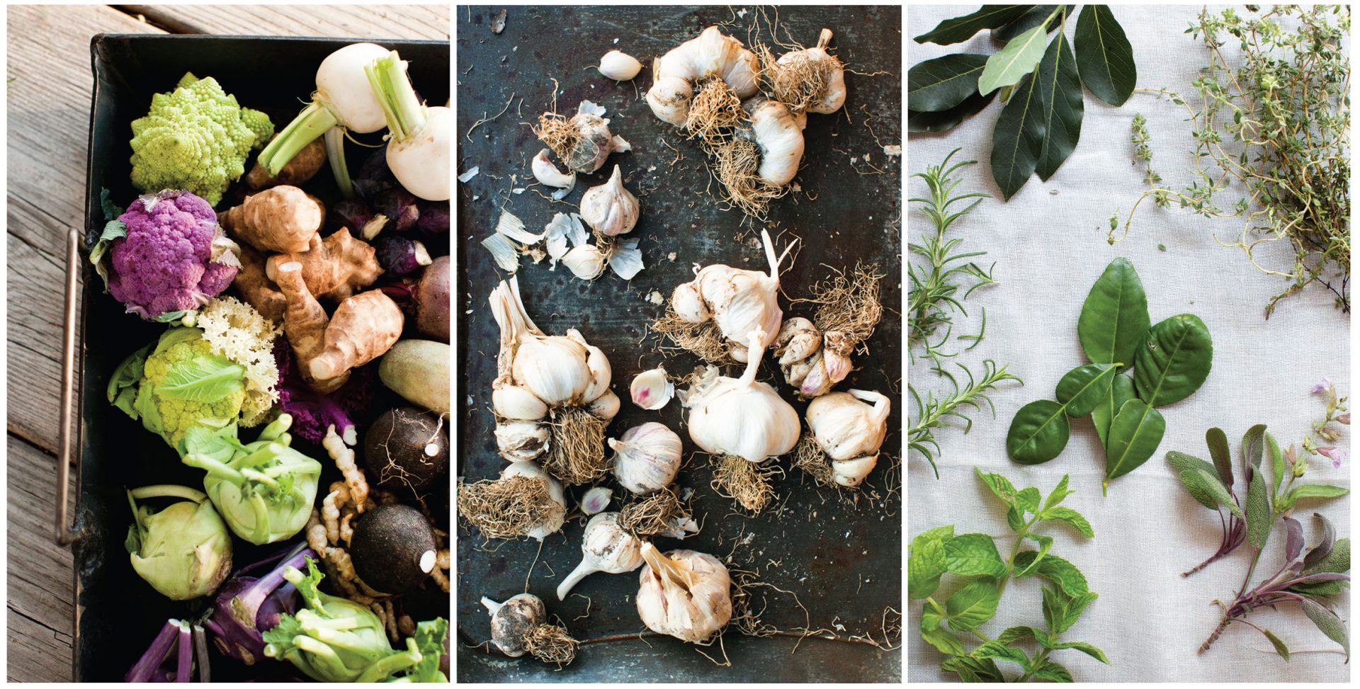 Tips for Spring & Summer: Vegetables We Love - Rizzoli New York