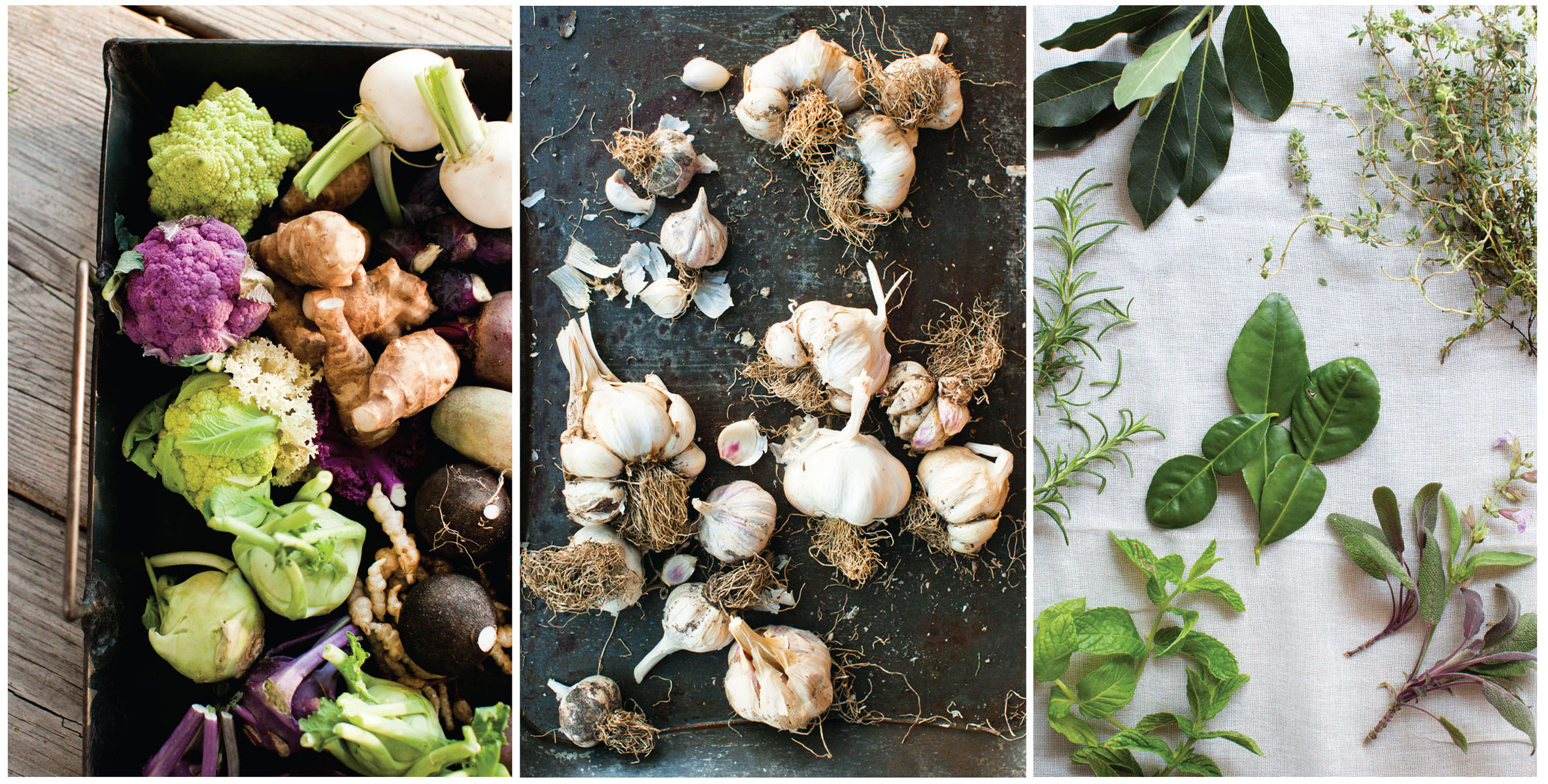 Tips for Spring & Summer: Vegetables We Love - Rizzoli New York