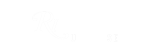 Rizzoli New York