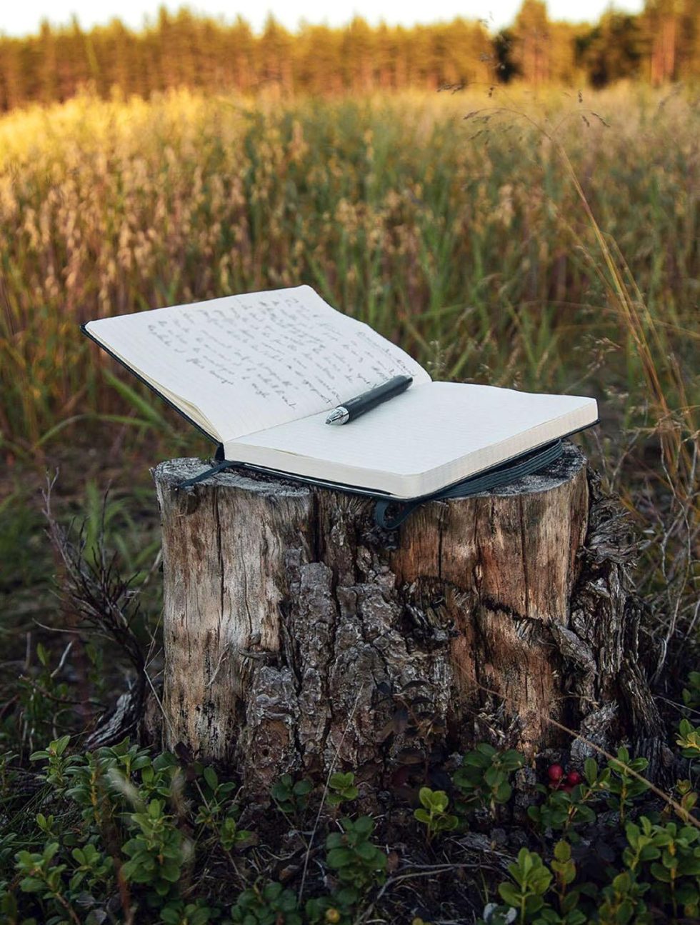 Rizzoli's Guide to Unplug, Unwind, and Embrace the Magic of Summer ...