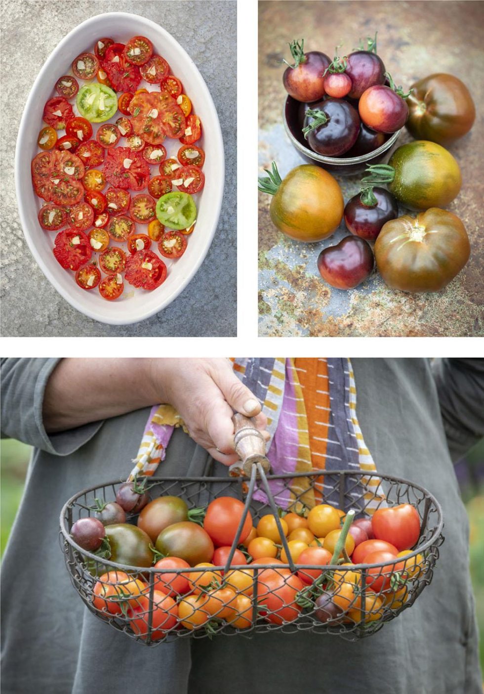 Rizzoli's Guide to Unplug, Unwind, and Embrace the Magic of Summer ...