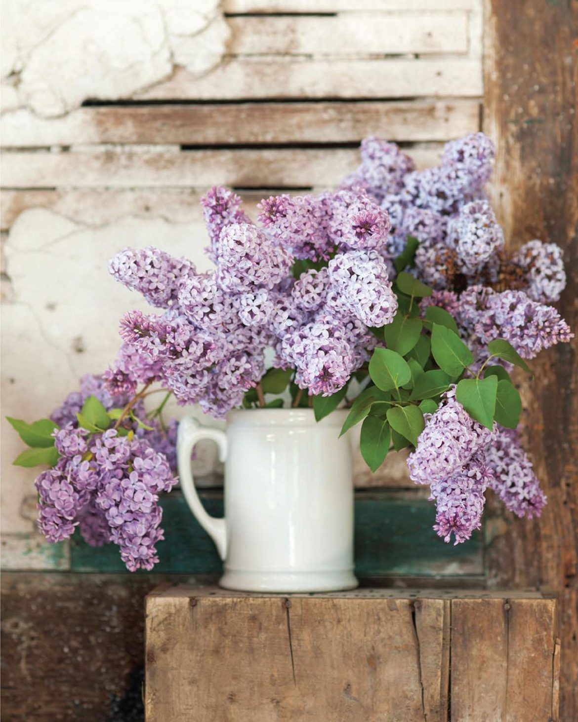 Rizzoli's Guide to Unplug, Unwind, and Embrace the Magic of Summer ...