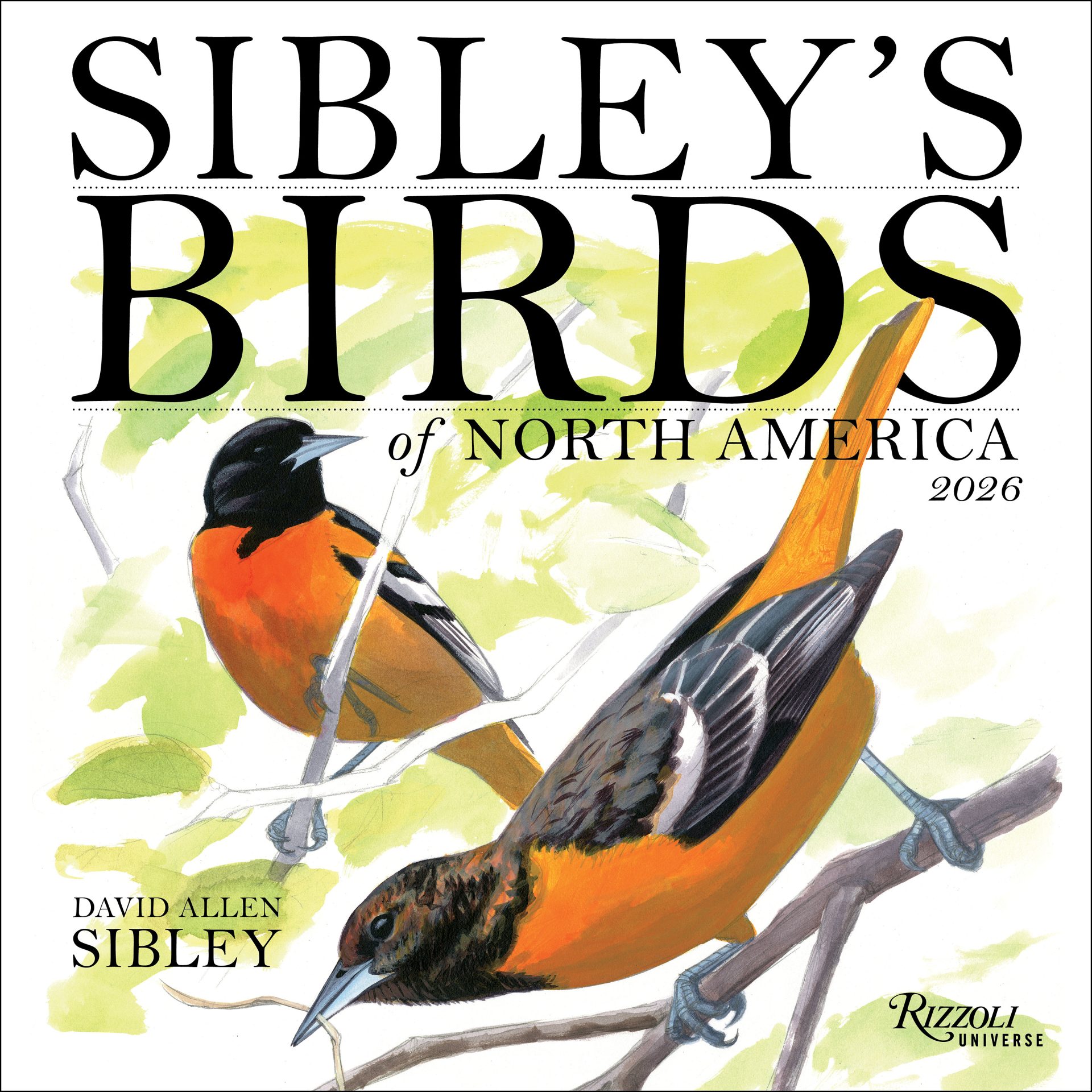 Calendars - Rizzoli New York